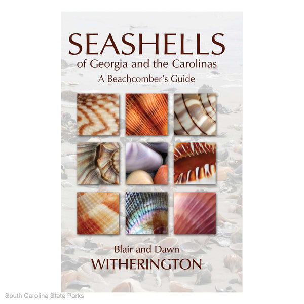 BOOK SEASHELLS OF GEORGIA AND THE CAROLINAS - South Carolina State Park ...